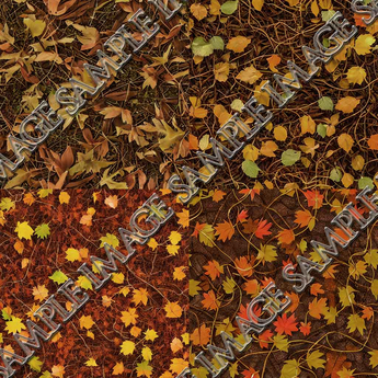 Second Life Marketplace - Parkins Textures - Leaf Fall Set - 20x Full ...