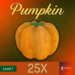 Second Life Marketplace - MyStory Pumpkin X 25 - Bulk