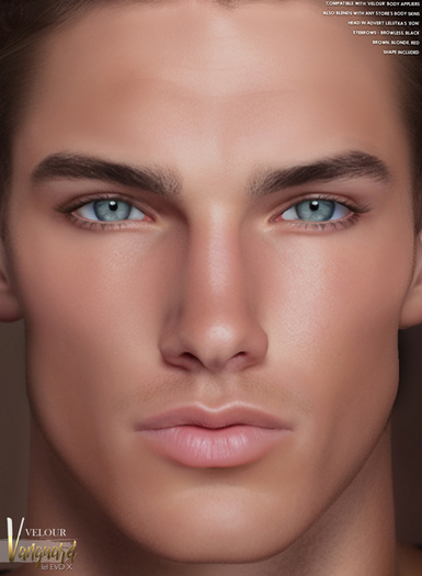 Second Life Marketplace - *Birth* 'Vanguard' Lelutka EvoX BOM - FATPACK