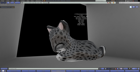 Second Life Marketplace - Stray Cats Kitten - 8TBlueCheetah15EOG (M)