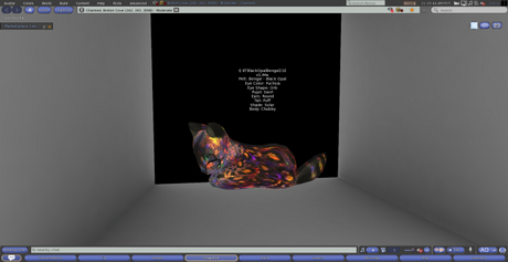 Second Life Marketplace - Stray Cats Kitten - 8TBlackOpalBengal21E (F)