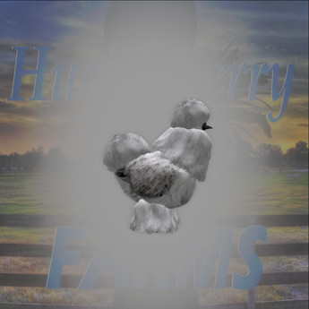 Second Life Marketplace - DFS Hen - Silkie White 4