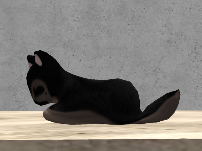 Second Life Marketplace - Stray Cats Kitten - Stray Kitty (F)