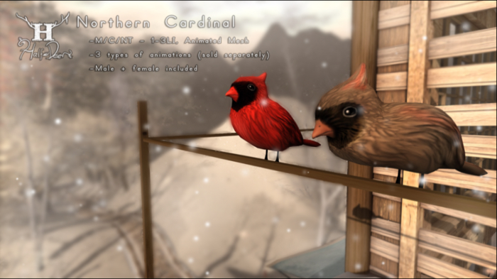 Second Life Marketplace - +Half-Deer+ Cardinal Birds