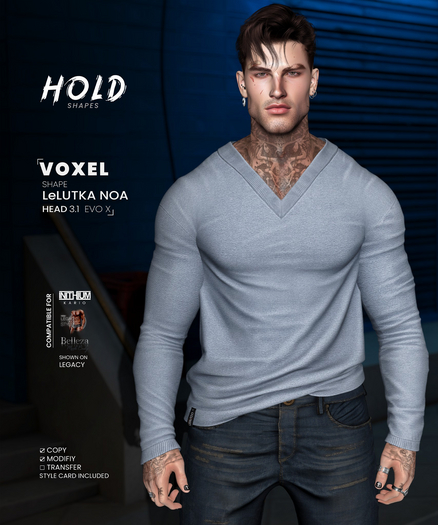 Second Life Marketplace - HOLD SHAPES - Voxel - Shape LeLUTKA Noa 3.1 ...