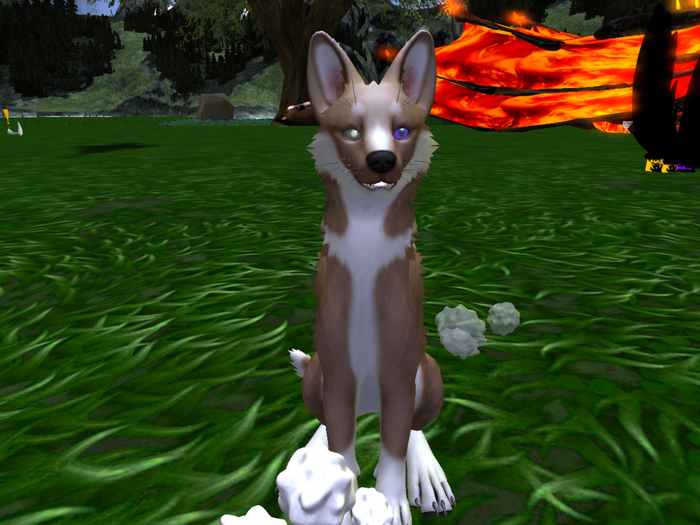 Second Life Marketplace - NOODLEMOD - FREEBIE PUPPY MODS