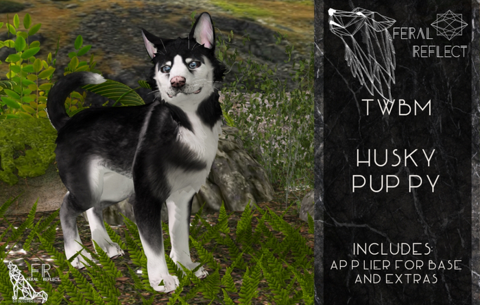 Second Life Marketplace - [Feral Reflect] TWBM Pup Husky mod