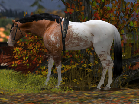 Second Life Marketplace - NHC~* Wasps spit applier (boxed,REZ)