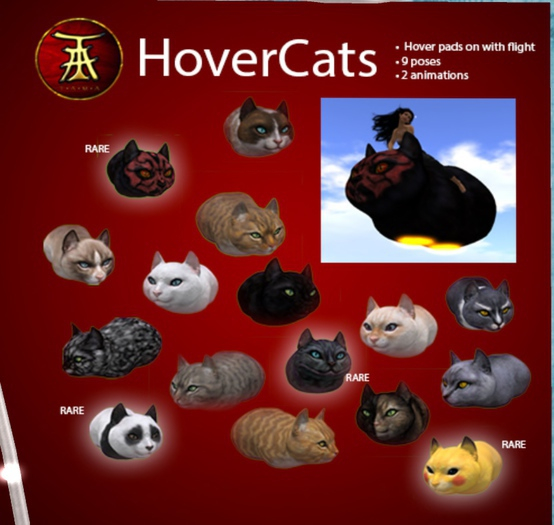 Second Life Marketplace - TAMA HoverCat - British Blue
