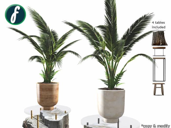 Second Life Marketplace - friller Potted Majesty Palm Tree Plant [40 ...