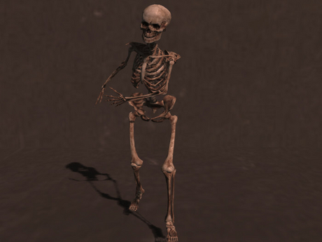 Second Life Marketplace - Animesh Attacking Skeleton By Snuggles