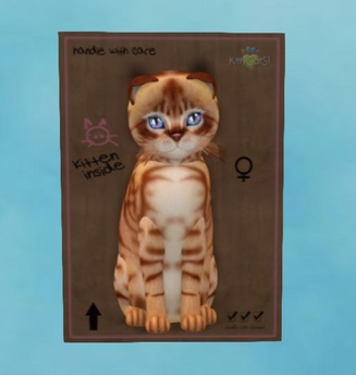 Second Life Marketplace - Australian Mist - Ginger - toy