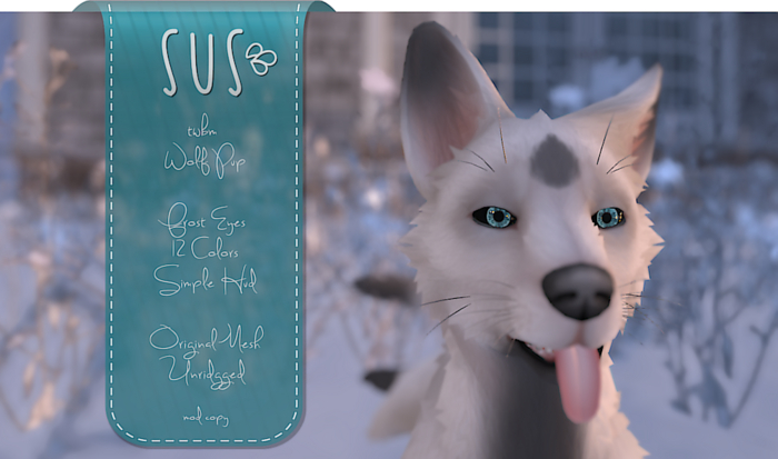 Second Life Marketplace - [ sus ] TWBM Wolf Pup - Frost Eyes