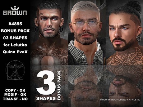 Second Life Marketplace - 4895 BONUS PACK 03 SHAPES for Lelutka Quinn EvoX