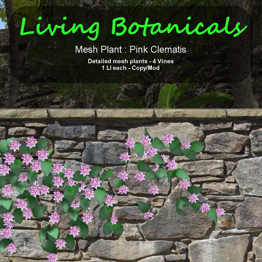 Second Life Marketplace - Inochi Botanicals - Mesh Plant "Pink Clematis"