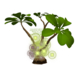 Second Life Marketplace - {Papillon} Plant Shrub Large Effect