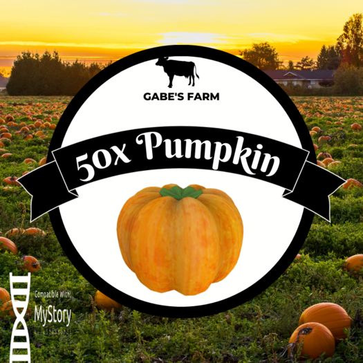 Second Life Marketplace - MyStory Pumpkin x 50