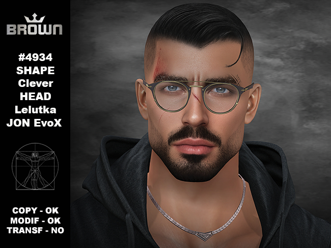 Second Life Marketplace - 4934 SHAPE Clever HEAD Lelutka JON EvoX