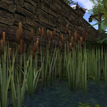 Second Life Marketplace - Inochi Botanicals - Mesh Plant "Cattails"
