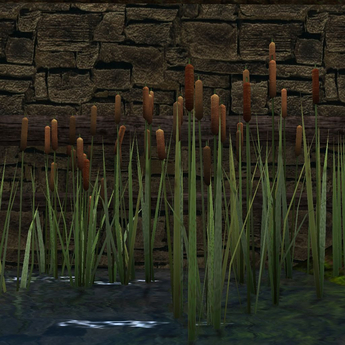 Second Life Marketplace - Inochi Botanicals - Mesh Plant "Cattails"