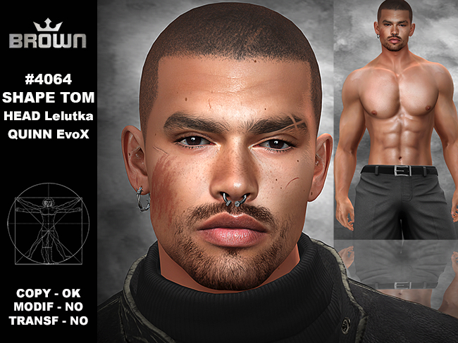 Second Life Marketplace - 4064 SHAPE TOM HEAD Lelutka QUINN EvoX