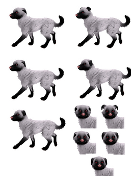 Second Life Marketplace - [NS] TWBM Wolf Pup "FloppyEars" Animation ...