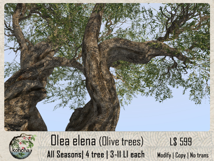 Second Life Marketplace - Konoha - Olea elena (Olive trees) [vcp.006]