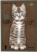 Second Life Marketplace - KittyCatS Box - Toyger - Blue