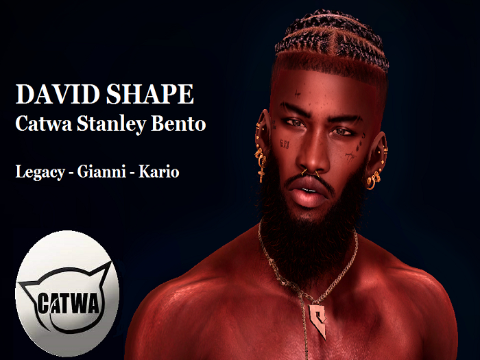 Second Life Marketplace - [ AFRO ] David shape CATWA STANELY BENTO V 3.2