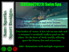Second Life Marketplace - [SSSD062823] Swim Spa Delivery Box