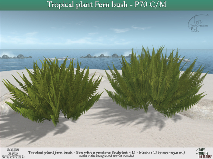 Second Life Marketplace - Tropical Plant Fern Bush C/M [P70]