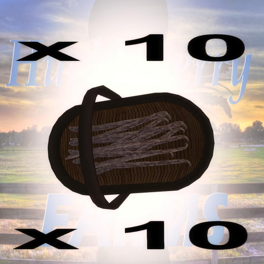 Second Life Marketplace - DFS Vanilla Basket - 10 Count