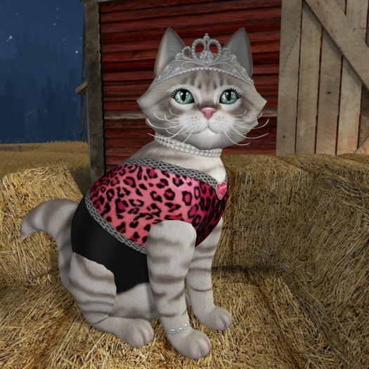 Second Life Marketplace - MegaPuss princeSS caLLie cat - SL20