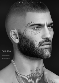 Second Life Marketplace - [MR] Carlton Facial Hair for AKADVX and ...