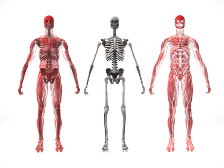 Second Life Marketplace - .:CQ:. Dark Form Bento Avatar