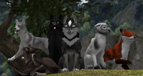 Second Life Marketplace - [TWBM] Wolf Pup Avatar