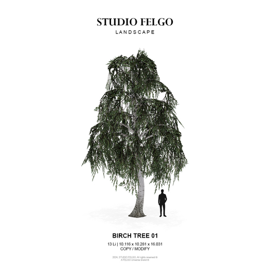 Second Life Marketplace - STUDIO FELGO // Trees - Birch 01