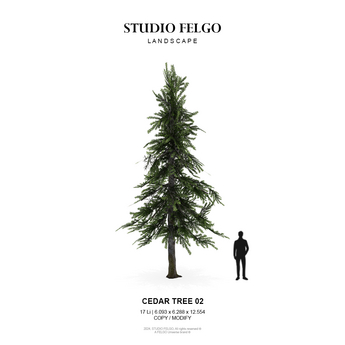Second Life Marketplace - STUDIO FELGO // Trees - Cedar 02