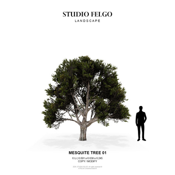 Second Life Marketplace - STUDIO FELGO // Trees - Mesquite 01