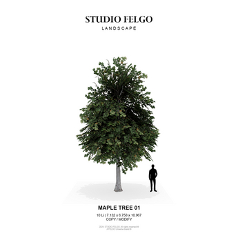Second Life Marketplace - STUDIO FELGO // Trees - Maple 01