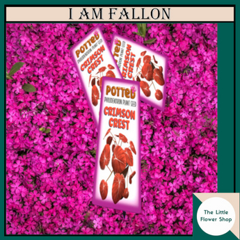 Second Life Marketplace - Potted: Philodendron Plant Seed: Crimson Crest