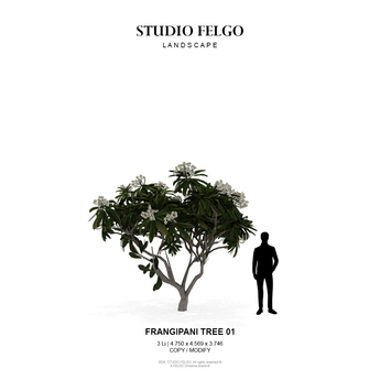 Second Life Marketplace - STUDIO FELGO // Trees - Frangipani 01