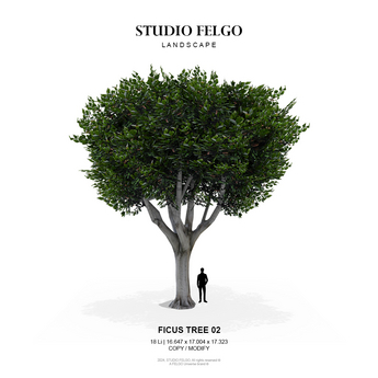 Second Life Marketplace - STUDIO FELGO // Trees - Ficus 02
