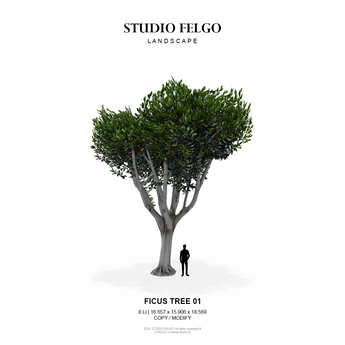 Second Life Marketplace - STUDIO FELGO // Trees - Ficus 01