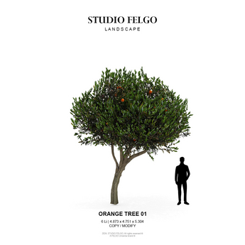 Second Life Marketplace - STUDIO FELGO // Trees - Orange 01