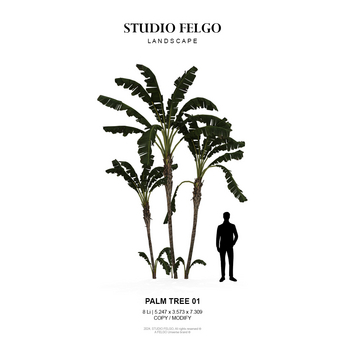 Second Life Marketplace - STUDIO FELGO // Trees - Palm 01