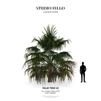 Second Life Marketplace - STUDIO FELGO // Trees - Palm 02