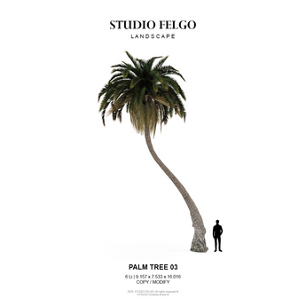 Second Life Marketplace - STUDIO FELGO // Trees - Palm 03