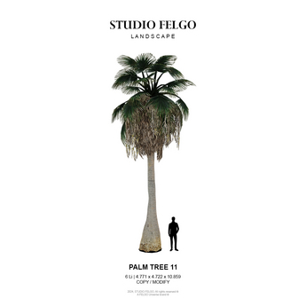 Second Life Marketplace - STUDIO FELGO // Trees - Palm 11