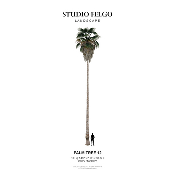 Second Life Marketplace - STUDIO FELGO // Trees - Palm 12